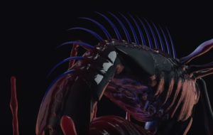 The Horrors' mind-boggling video for ‘Machine’ will make you feel on ...